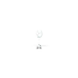 AOA - Official WING Light Stick