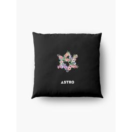 Astro Pillow For KPOP