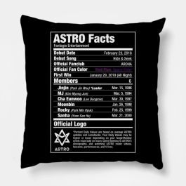 Astro Pillow For KPOP