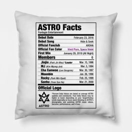 Astro Pillow For KPOP